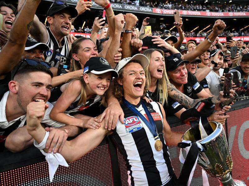 Police praise fan behaviour as Magpies bask in AFL flag | Dairy News ...