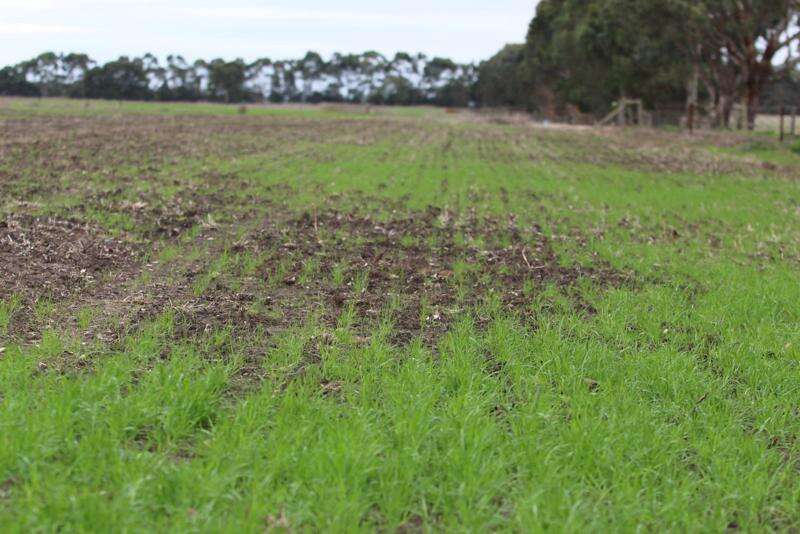 New grants open for dairy farmers | Country News
