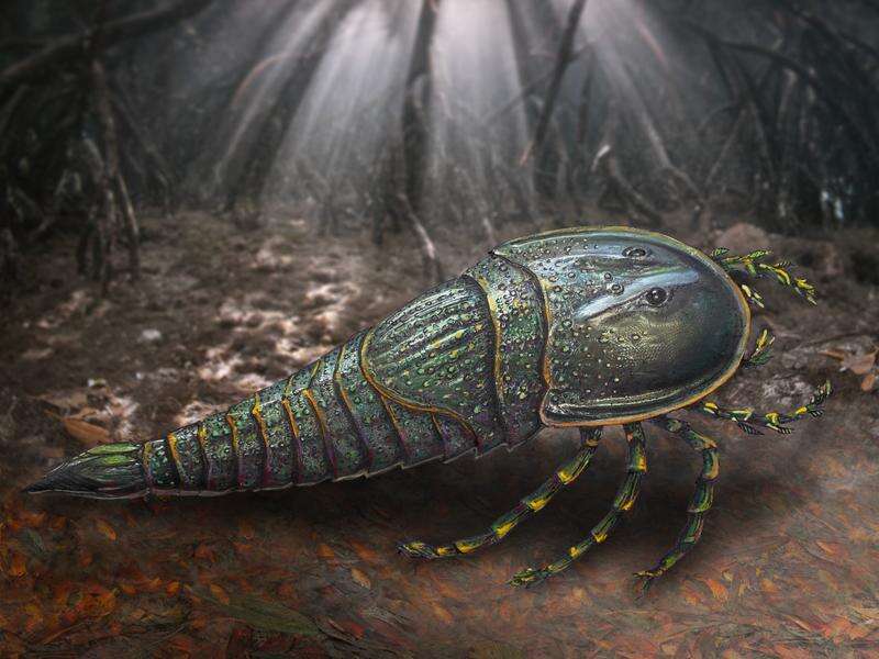 Ancient sea monster called Queensland home | Shepparton News