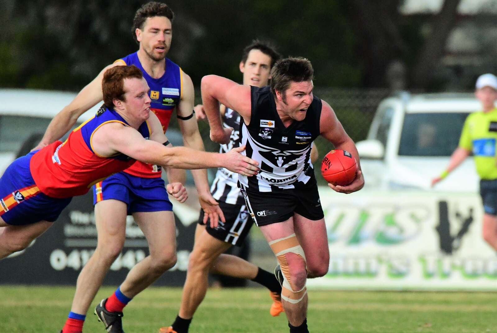 MFL ǀ Magpies fly to Cobram for tricky Tigers test | Shepparton News