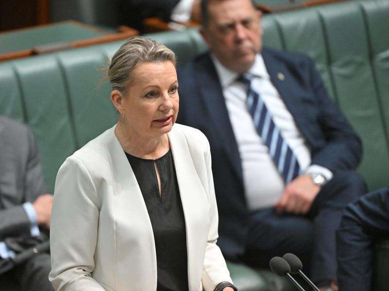 Domestic Violence Victims Remembered As Mps Urge Action Shepparton News