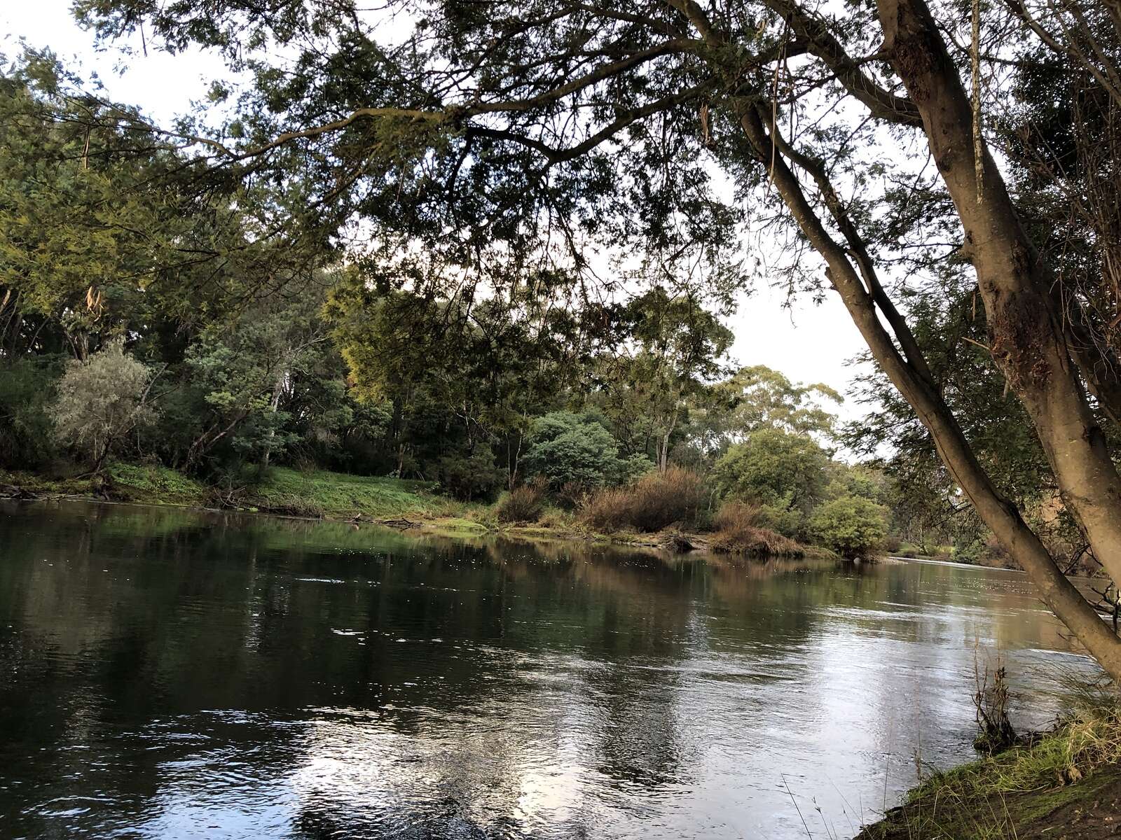 Discover nature at immersive camp | Shepparton News