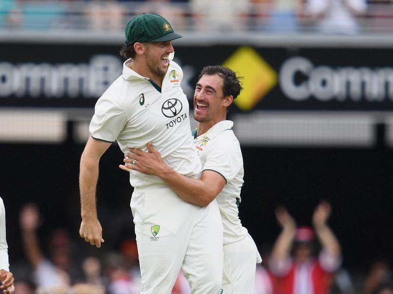 Starc rocks India top order, Marsh stars in field | Dairy News Australia