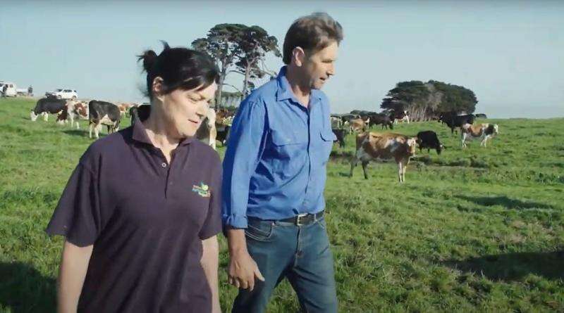 Maintaining a low percentage of empty cows is key to success | Dairy ...