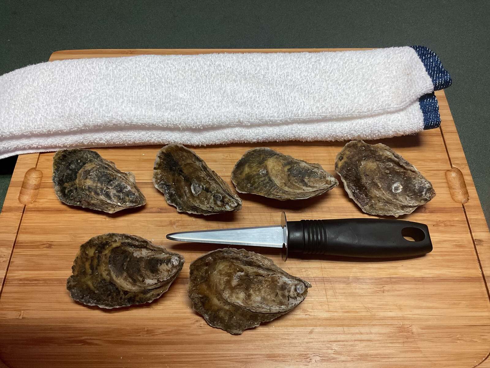 Oh shucks! The safe way to reveal oysters | Dairy News Australia