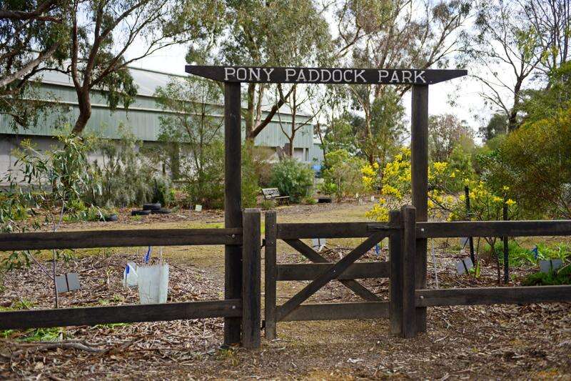 Native plants transform old pony paddock in Congupna | Shepparton News