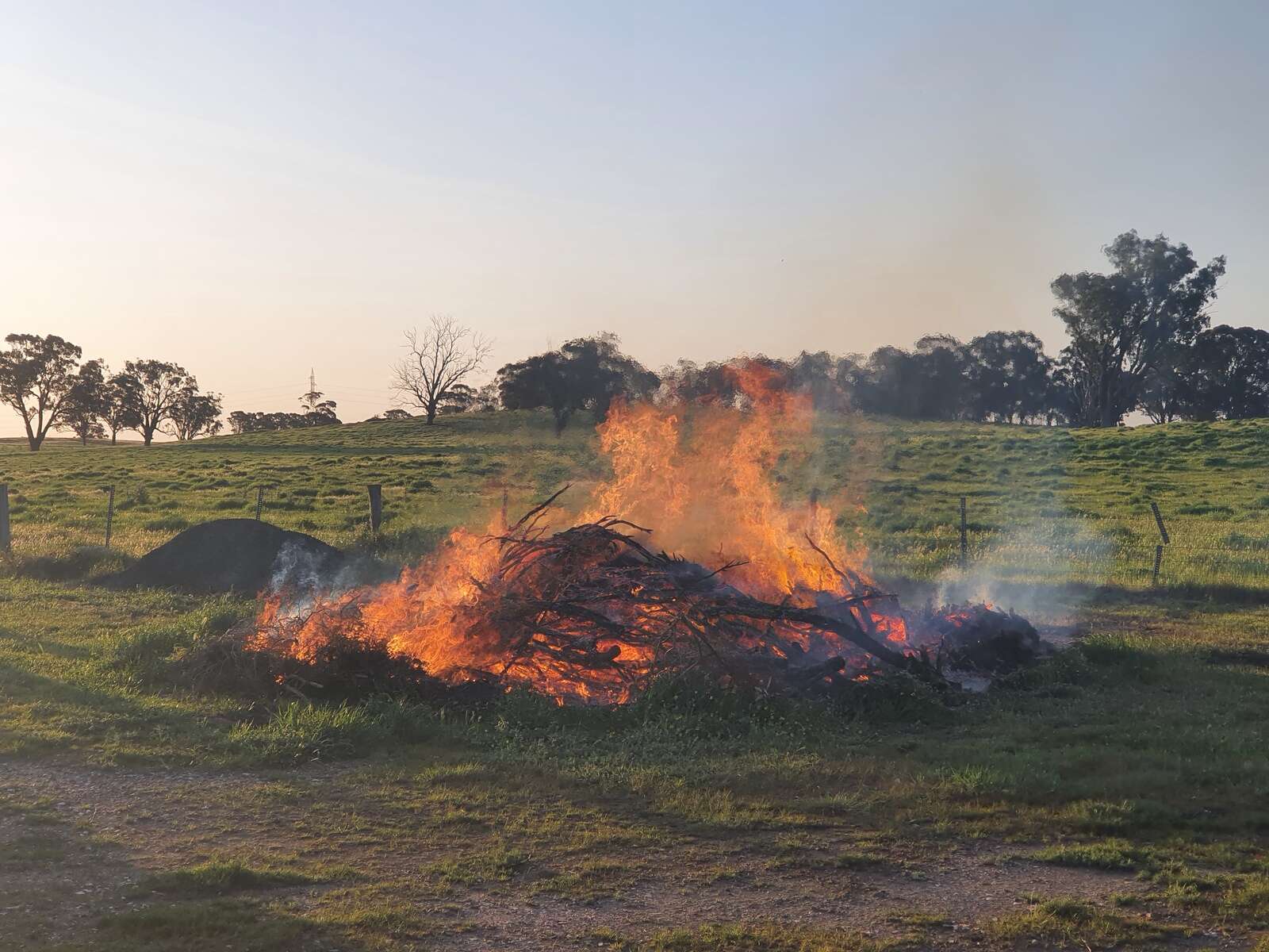 Burn piles deadly for livestock | Country News