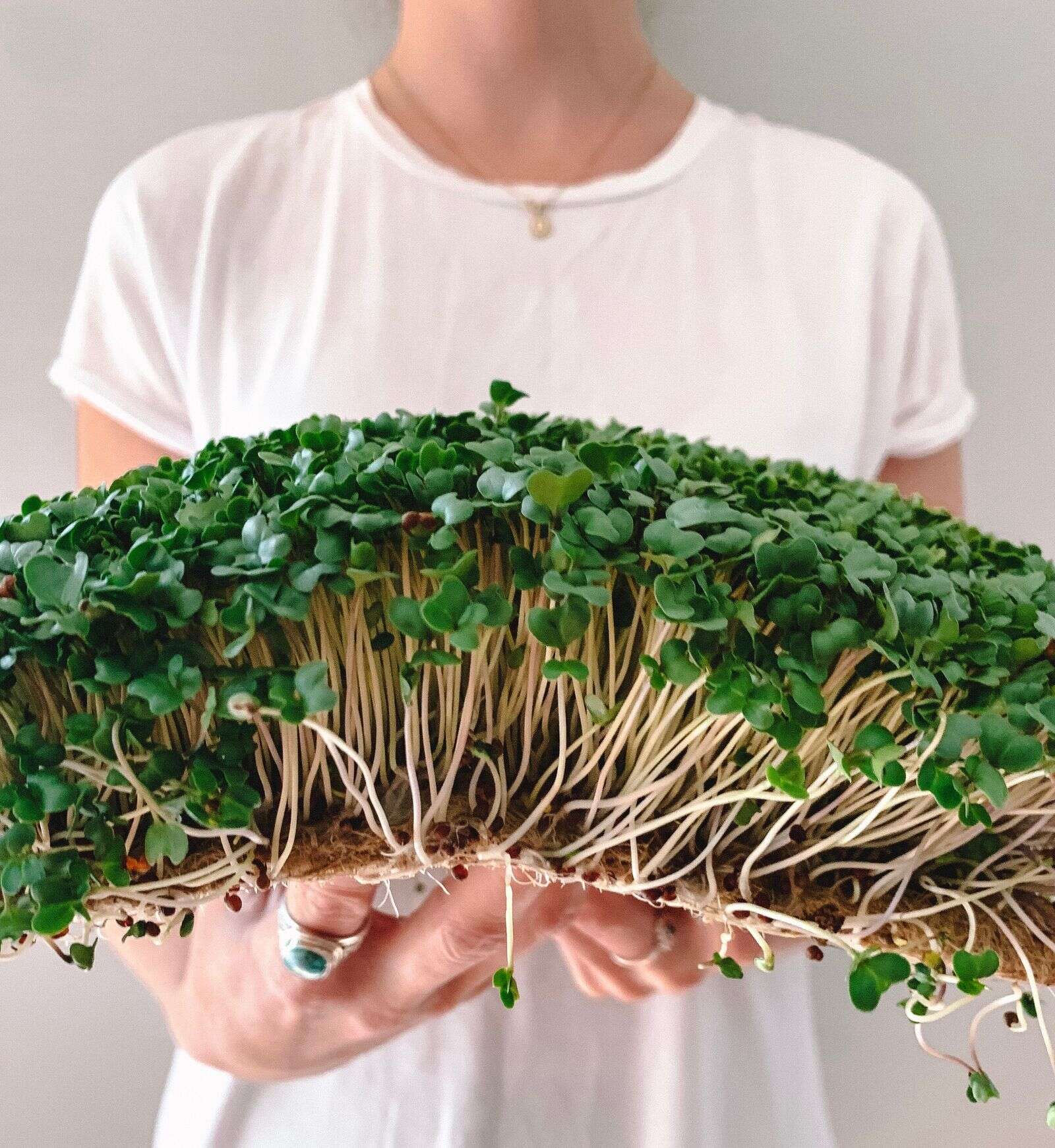 Is this the world's smallest farm ? | Country News