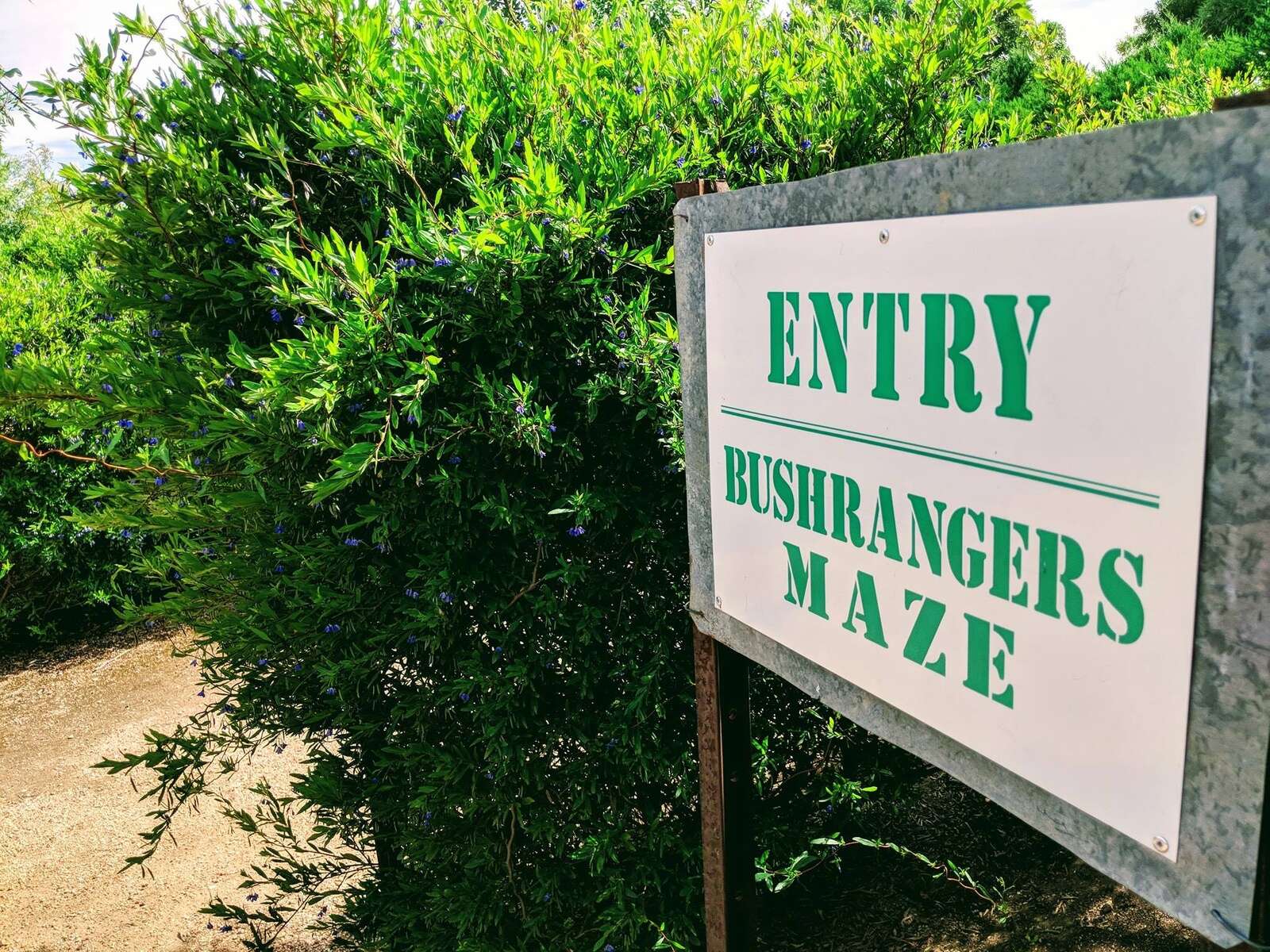 Discover adventure at Avenel Maze these holidays | Seymour Telegraph