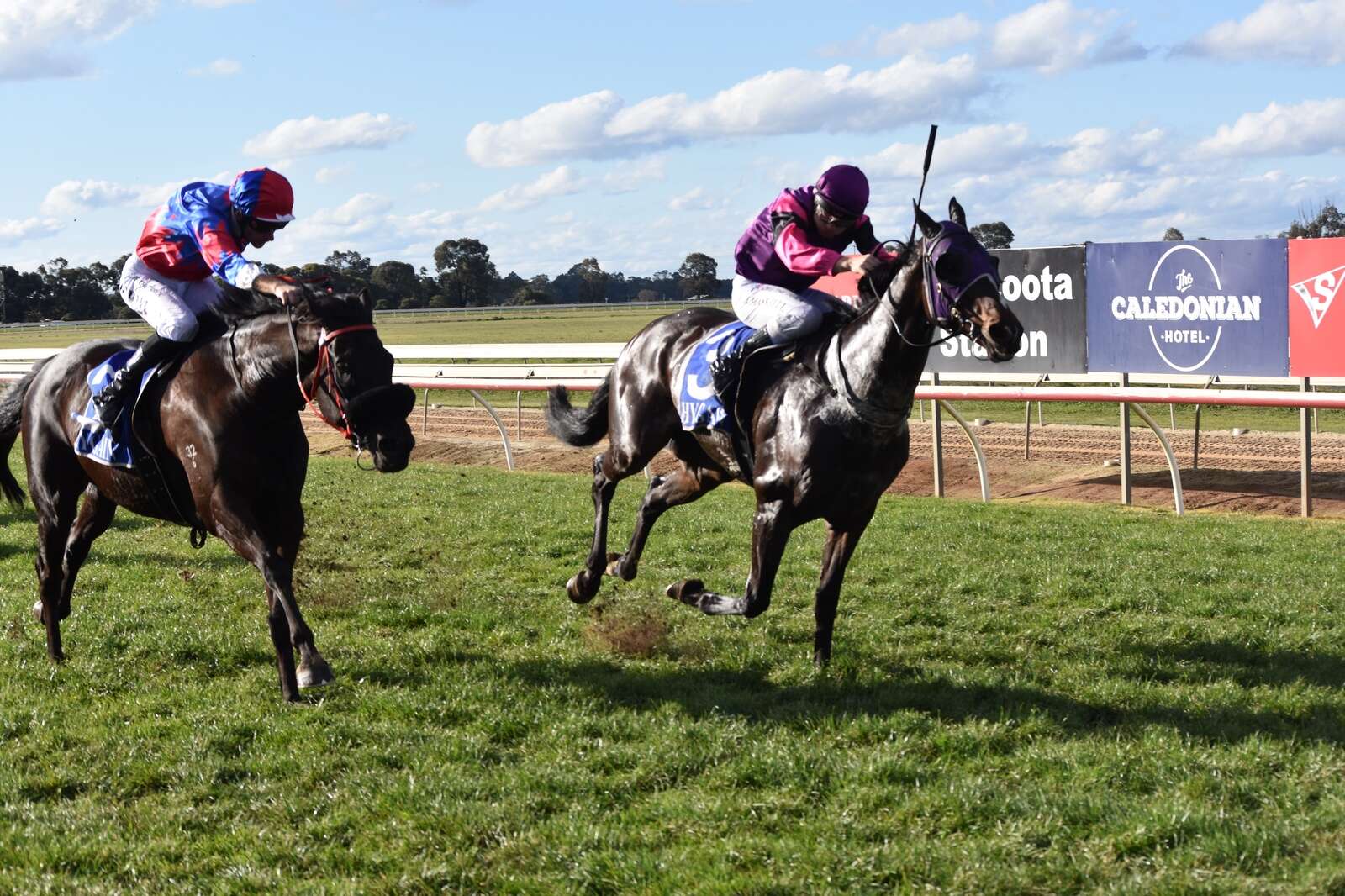 Onslaught keeps perfect border record intact | Shepparton News