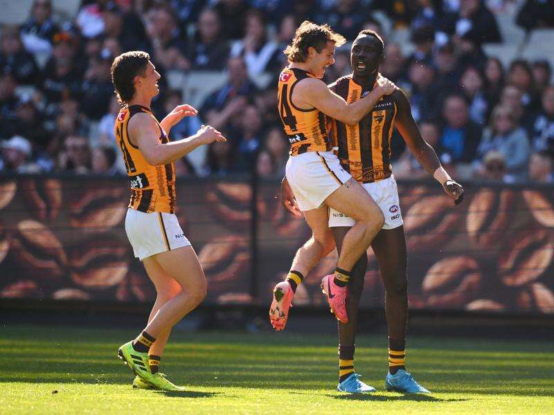 Red-hot Hawks smash Carlton, surge into AFL's top eight | Kyabram Free ...