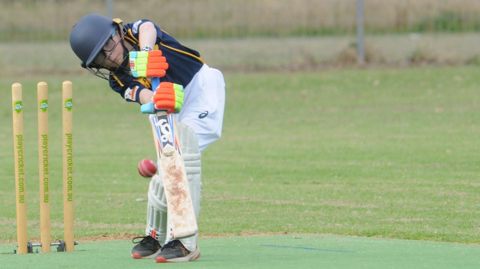 Cuttriss’ junior cricket stocks rise | Shepparton News