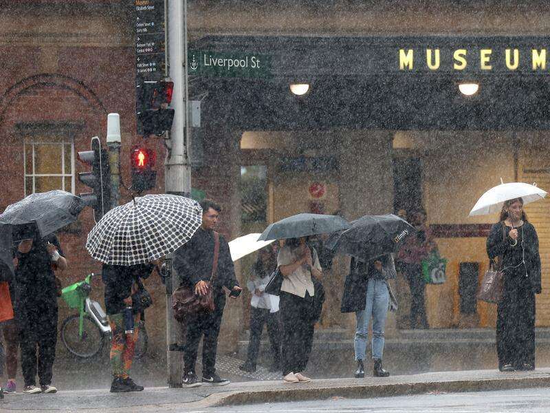 Four struck by lightning as intense storms swamp Sydney | Shepparton News