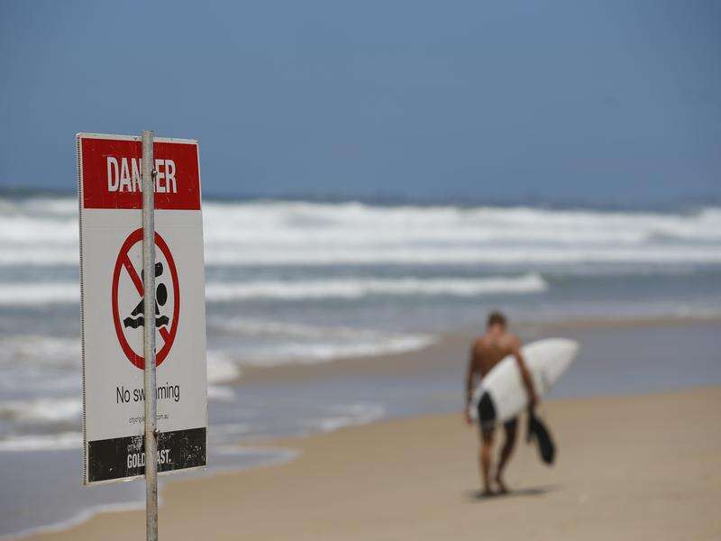 Halt surfing amid shark boom, victim's friend says | Country News
