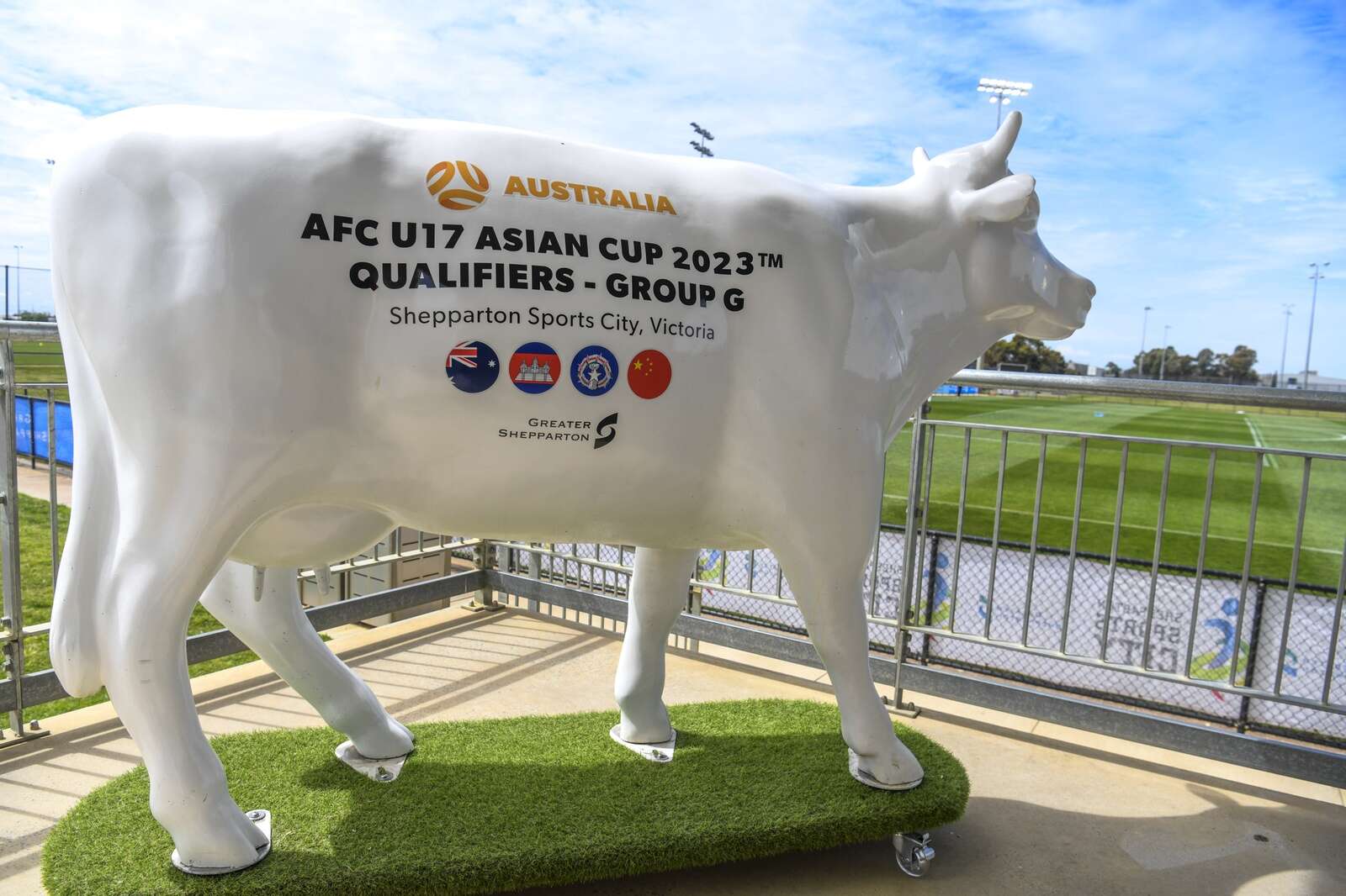 GV Suns lend helping hand for AFC Asian Cup qualifiers | Shepparton News