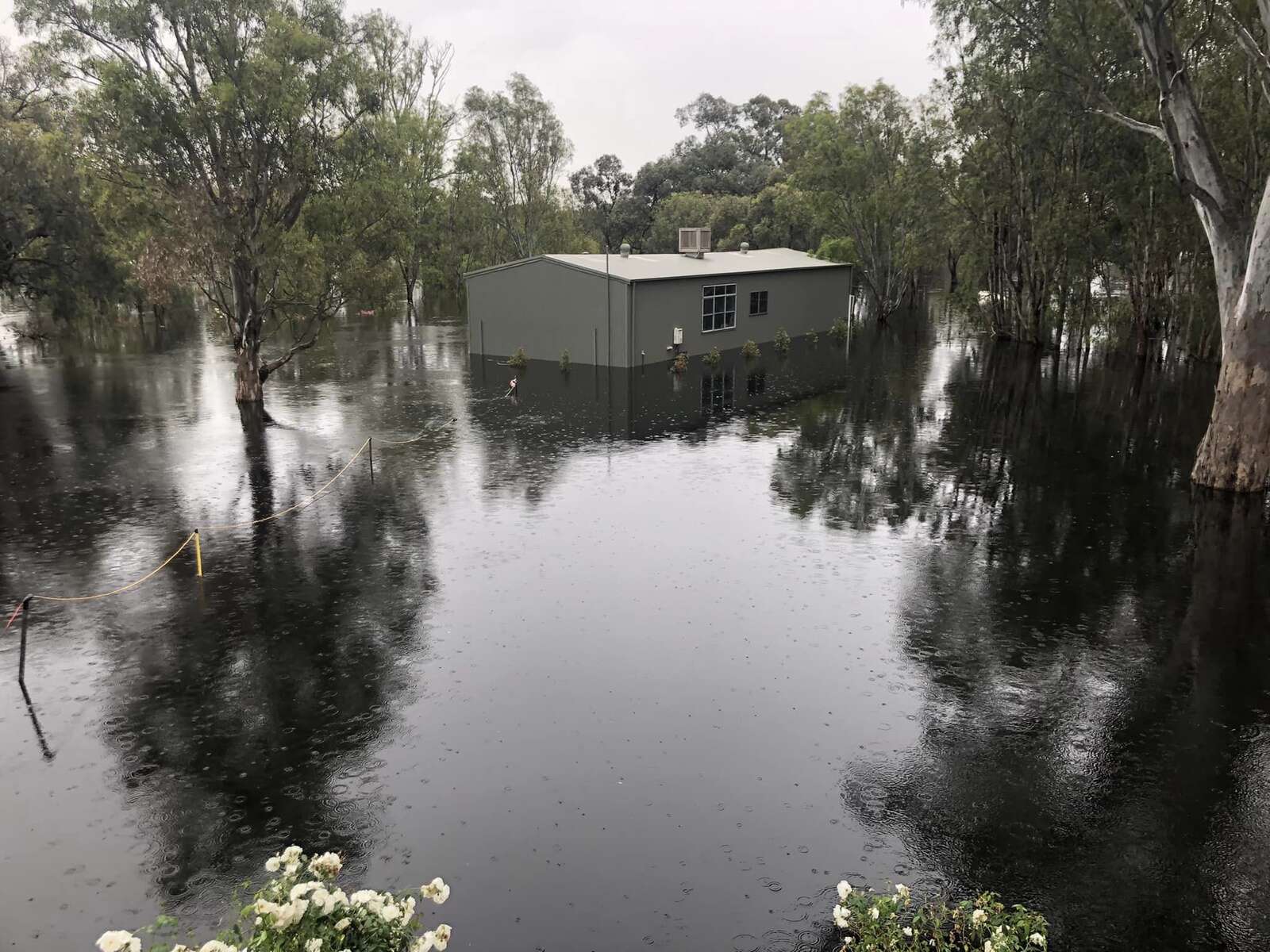 Recovery payment extended to Edward River | Country News