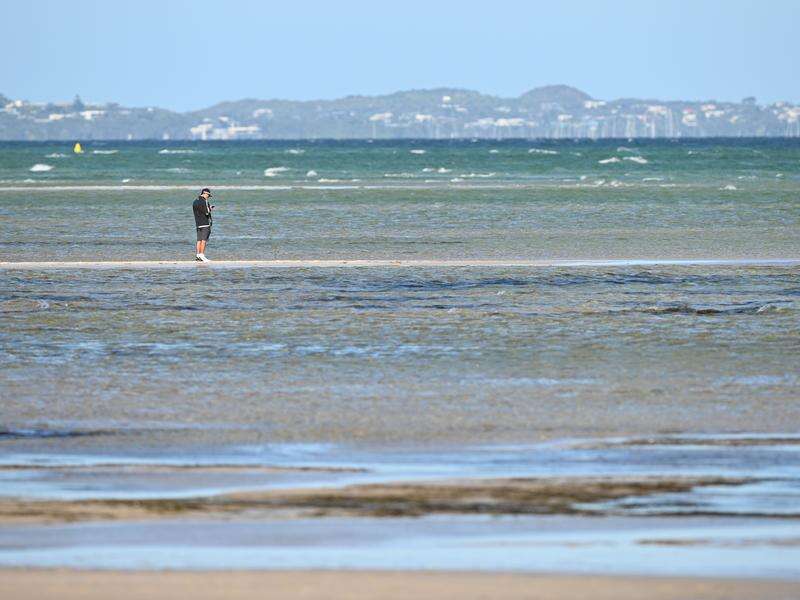Second paddle board rescue in Victoria | Country News