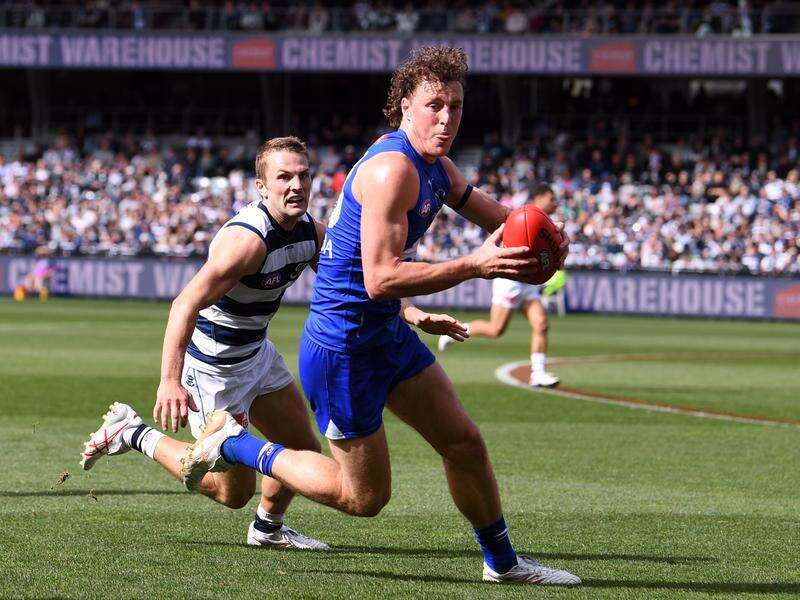 Larkey confident tide will turn for North Melbourne | Country News