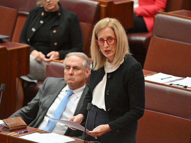 AFP to investigate leaked Higgins messages, recordings | Country News