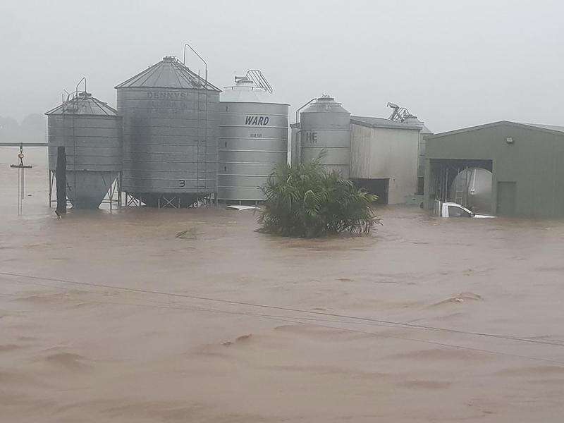 Aust set for third consecutive La Nina | Dairy News Australia