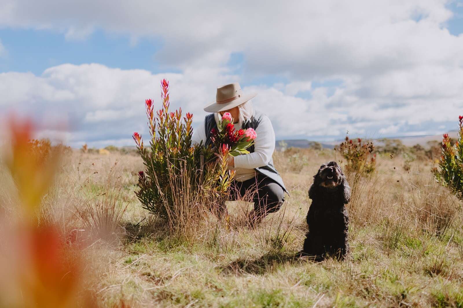 A blooming good idea | Dairy News Australia