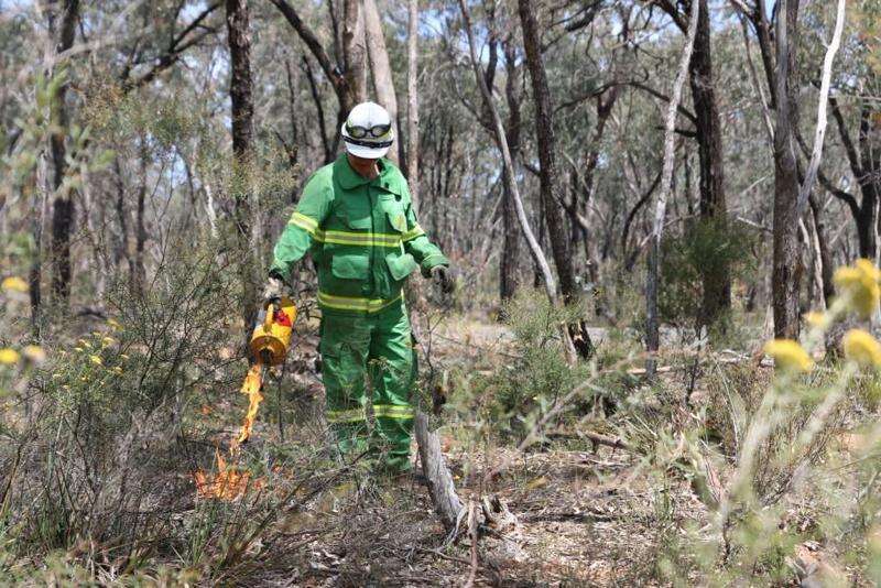 Planned burns scheduled for Murray Goldfields in coming weeks ...