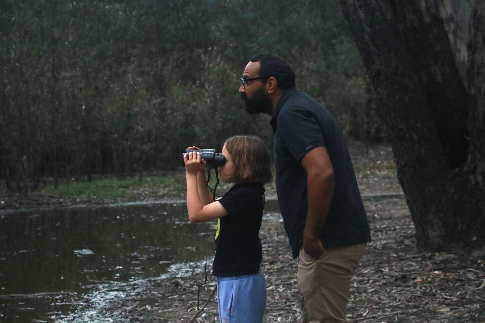 How many birds live at Gemmill Swamp? | Country News