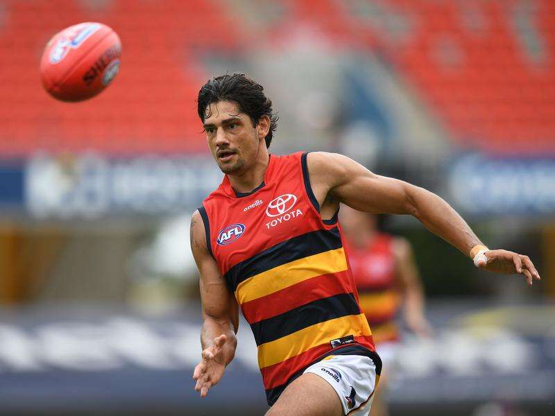 Adelaide's McAdam heads for AFL Tribunal test case | Cobram Courier
