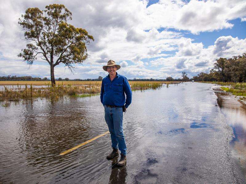 Rivers hit 70-year peaks at Forbes, Wagga | Country News