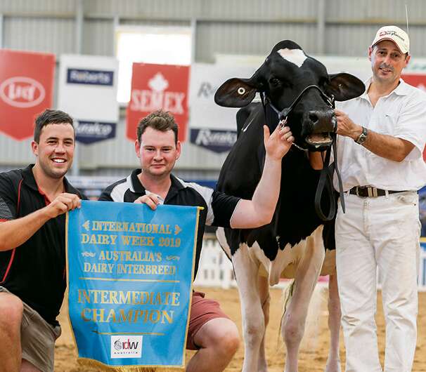 Region on show at dairy week | Dairy News Australia