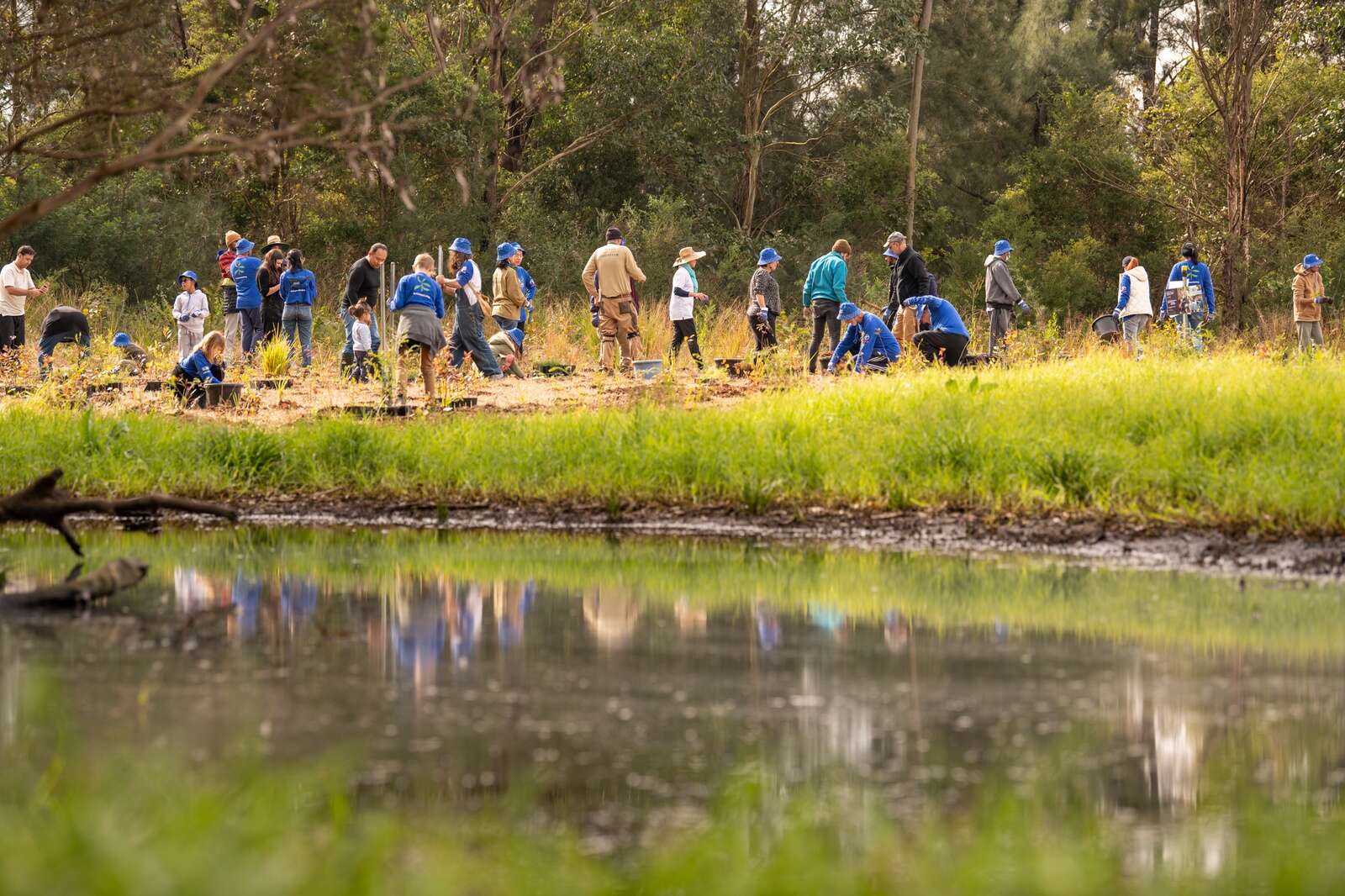 Dutch Thunder Wildlife Rescue invites locals to join in on National ...
