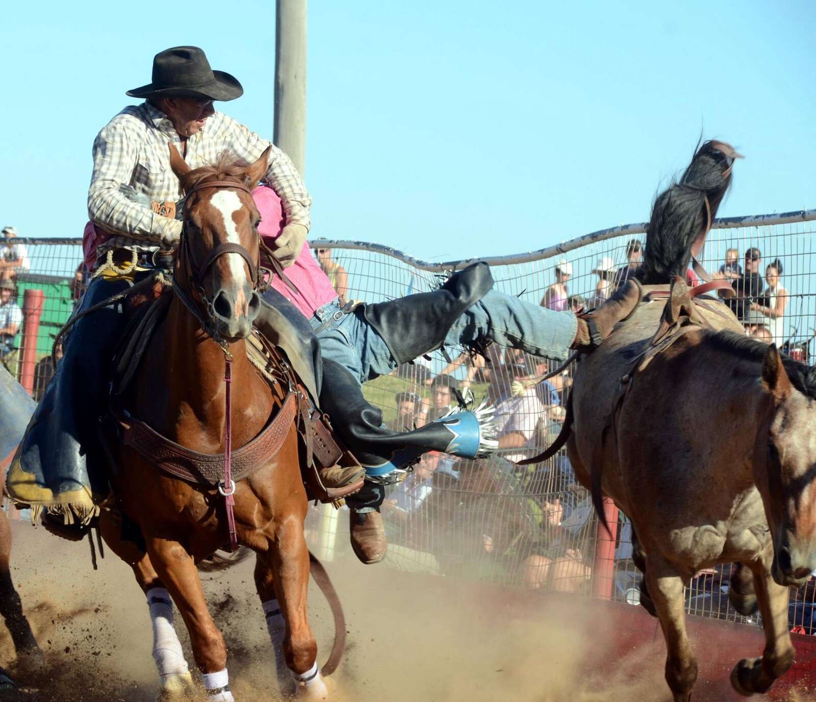 ‘Rosie’ rides into Isa Rodeo Hall of Fame | Deniliquin Pastoral Times