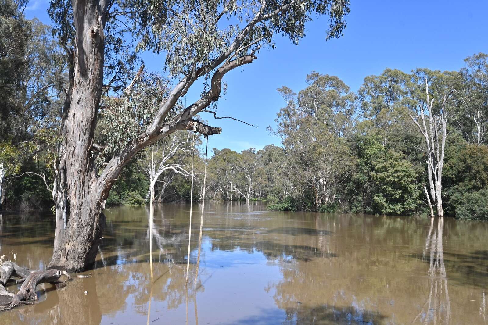 GALLERY | Monday flood outlook across Shepparton | Shepparton News