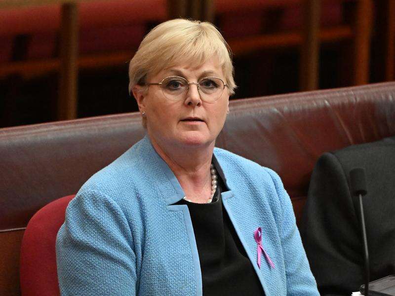 Transparency needed from Defence, former minister says | Country News