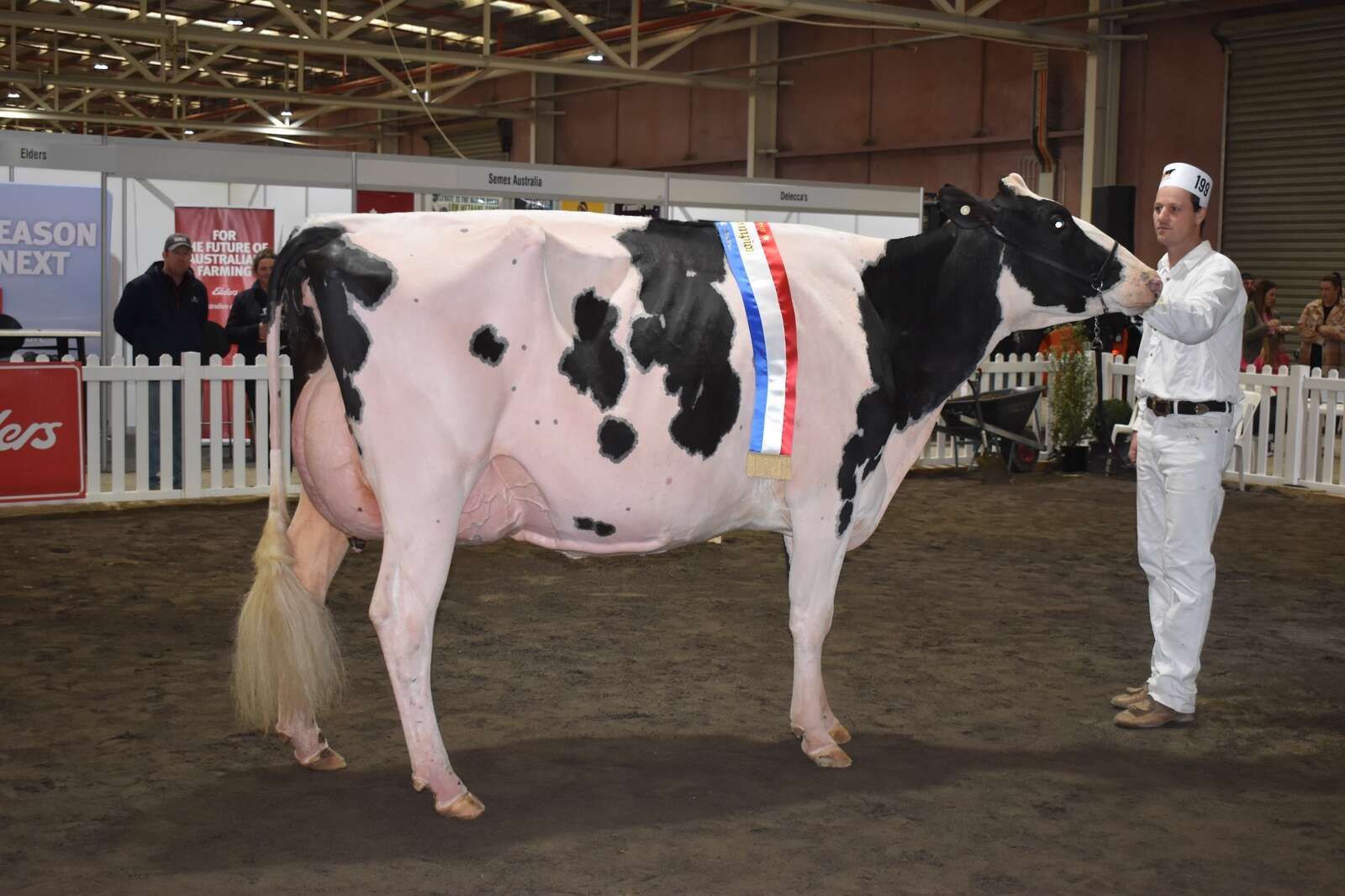 Princess goes all the way | Dairy News Australia