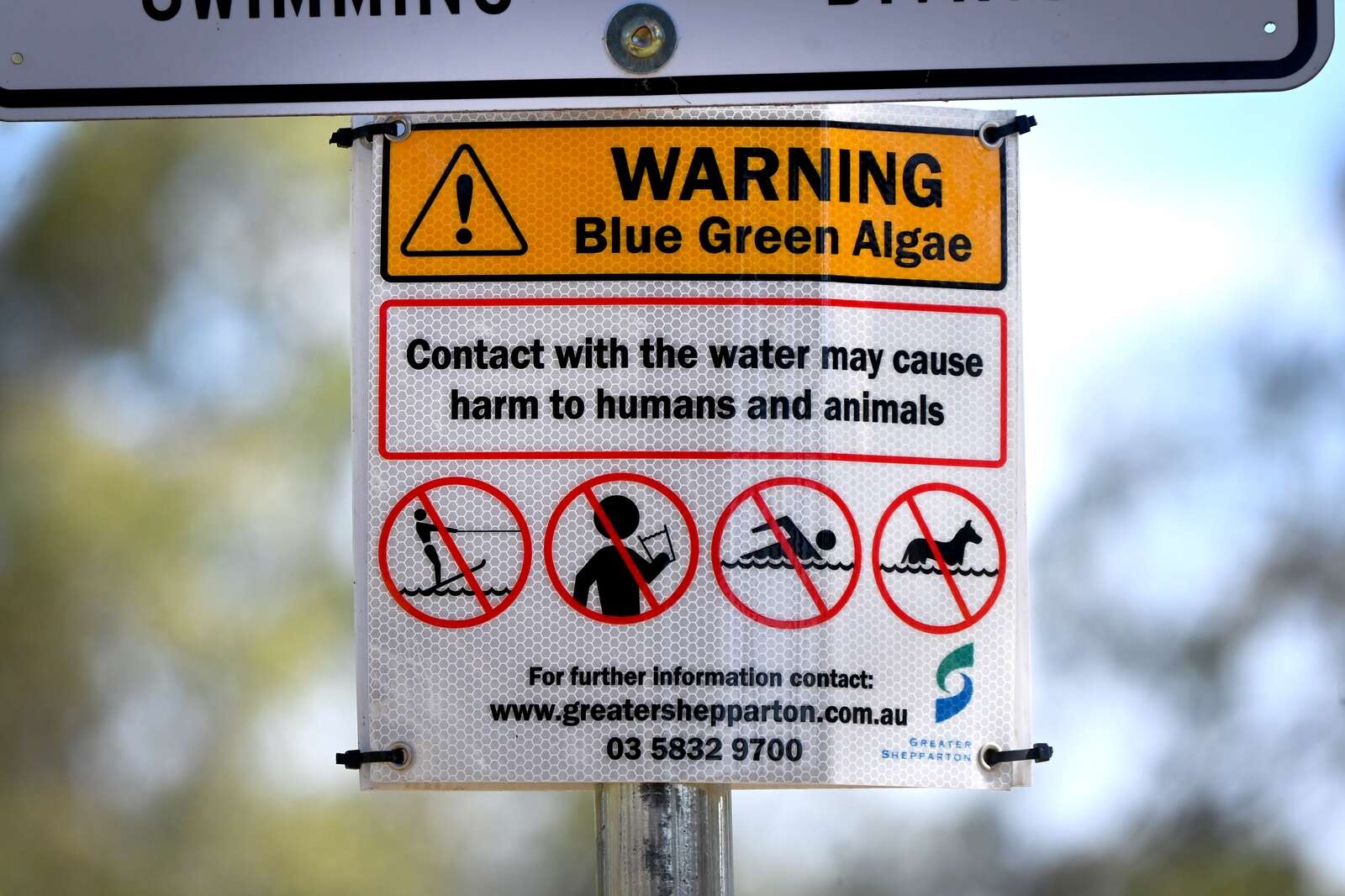 Blue-green algae in Tatura lake | Shepparton News