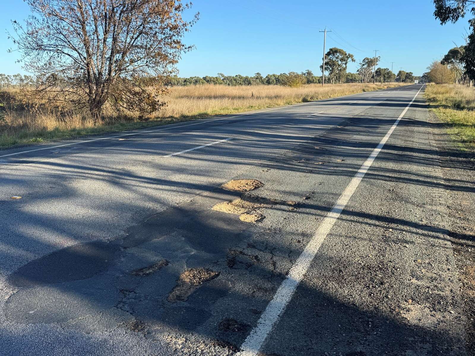 Local pothole problem raised in parliament | Deniliquin Pastoral Times