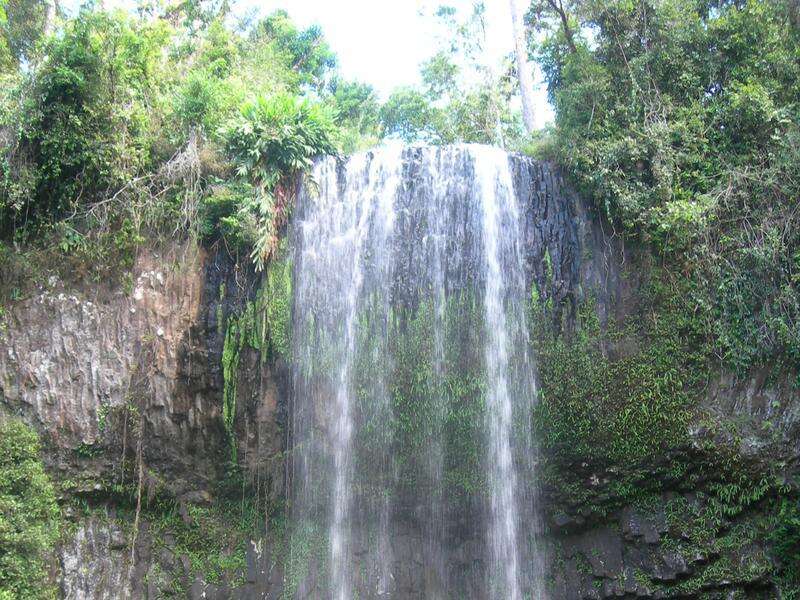 Waterfall victims identified as Indian students | Country News