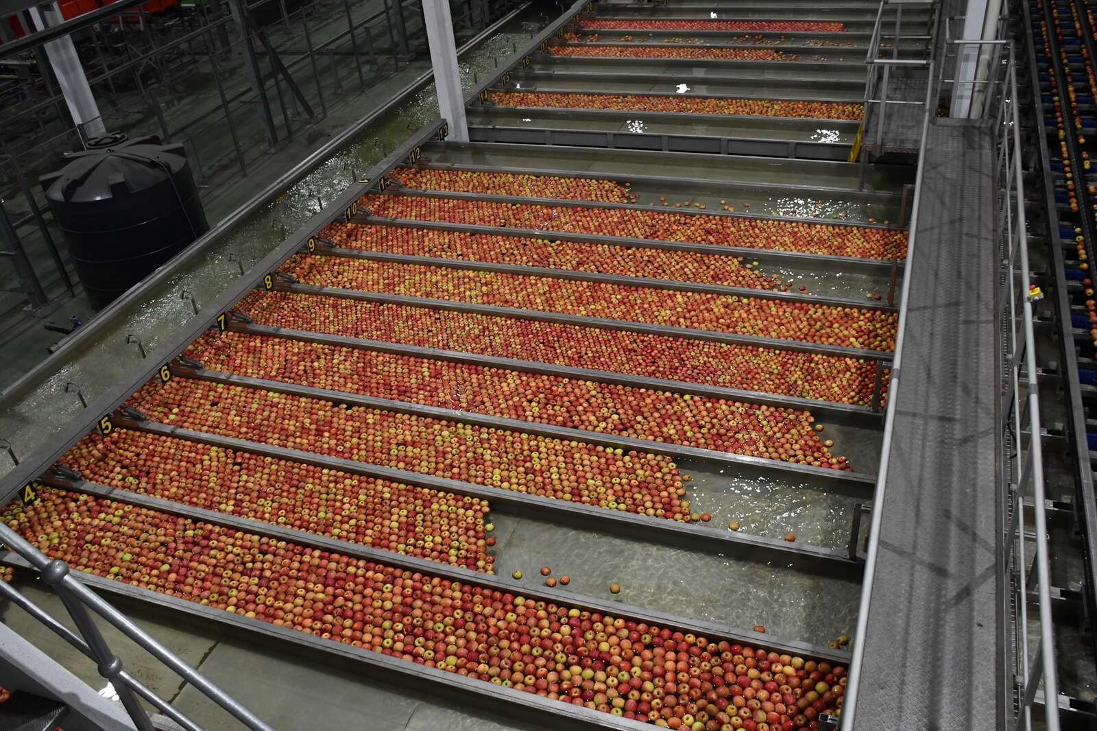 Major GV fruit packing business sold | Country News