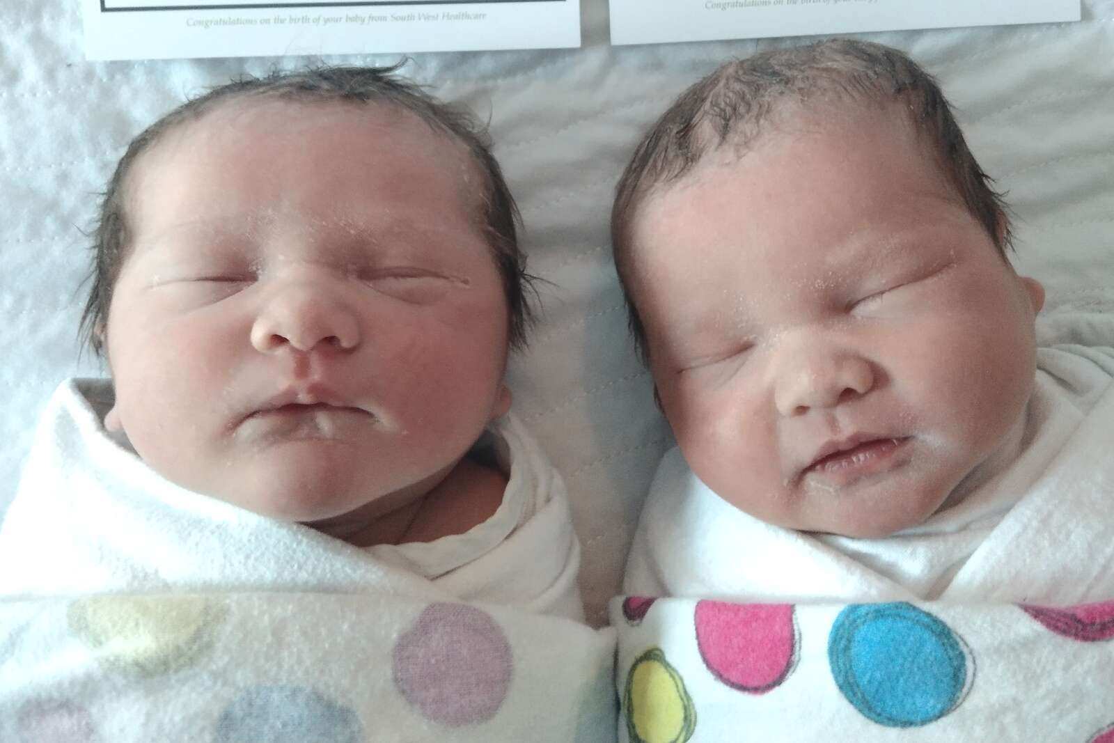 Brittany and Steve celebrate arrival of twins | Seymour Telegraph