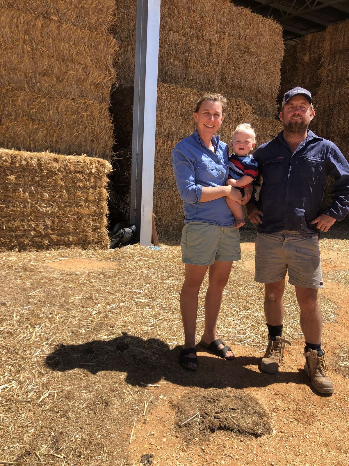 Mixing up the weed attack is stopping rye-grass in its tracks | Country ...