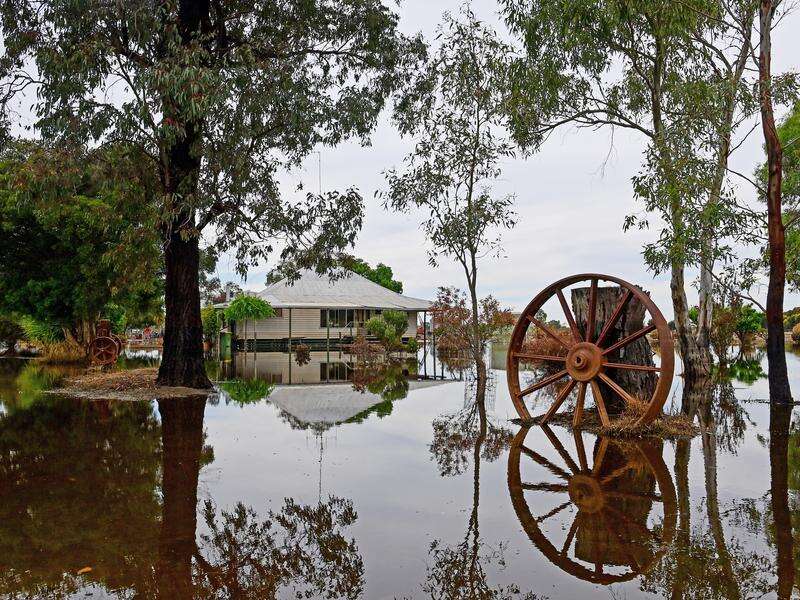 Farmers fight on after floods | Country News