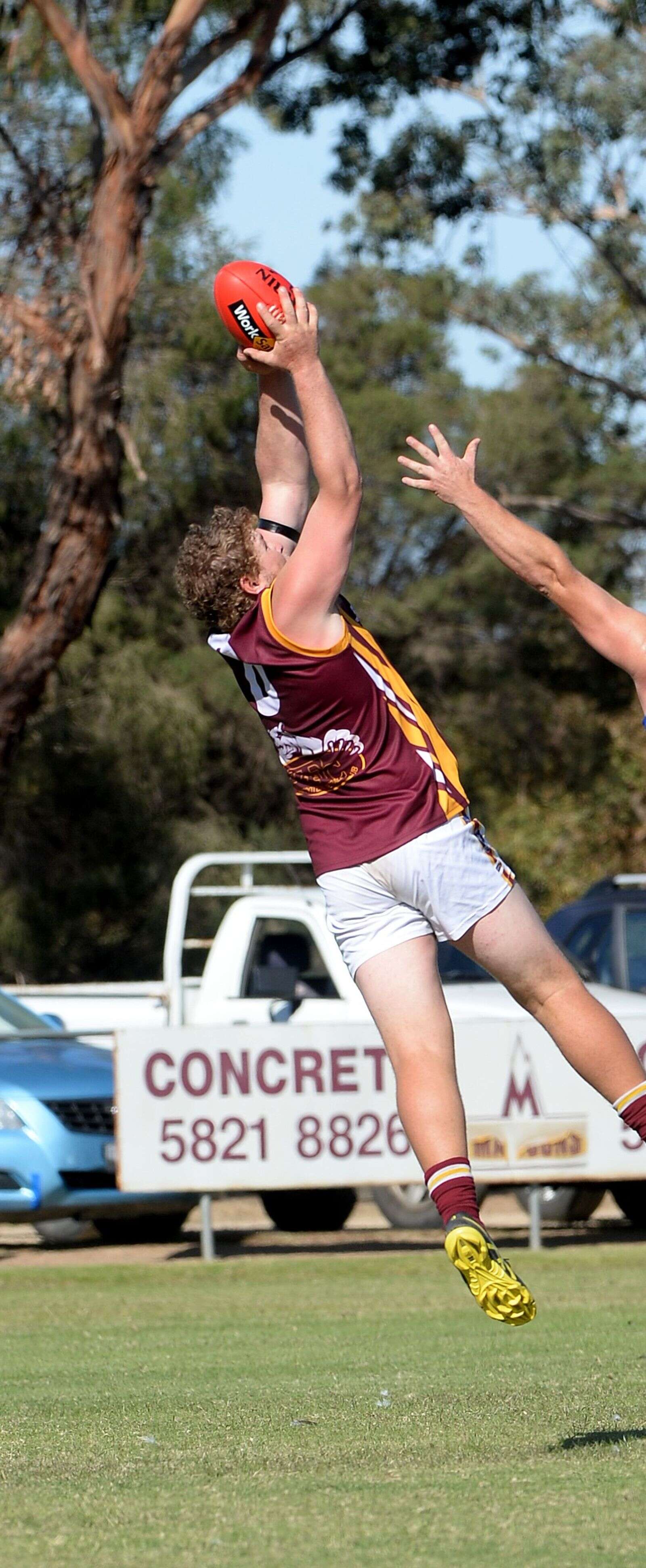 Bears celebrate wins across the board | Shepparton News