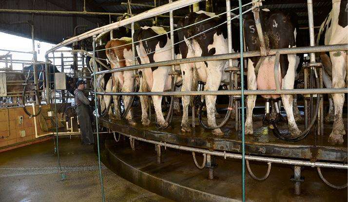 Tough times impact national production | Dairy News Australia