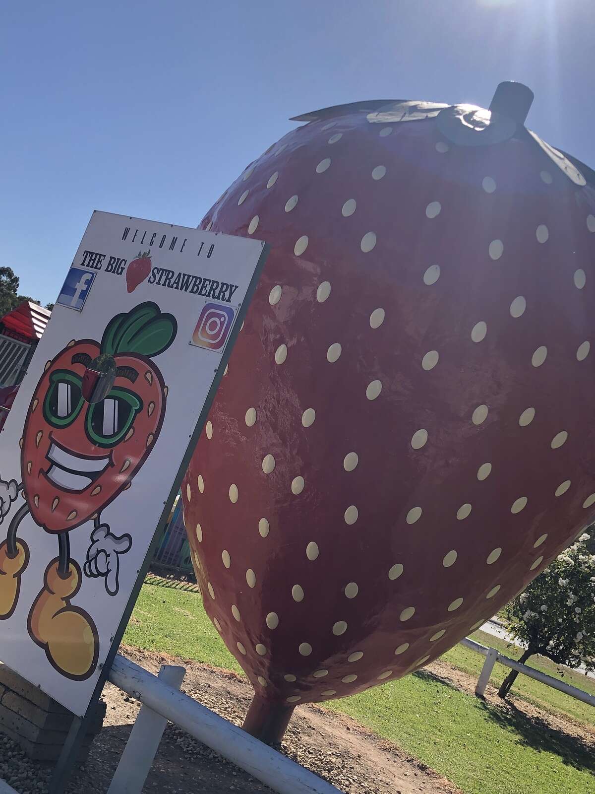 The Young and The Restless | Sweet little big spot anything but seedy ...