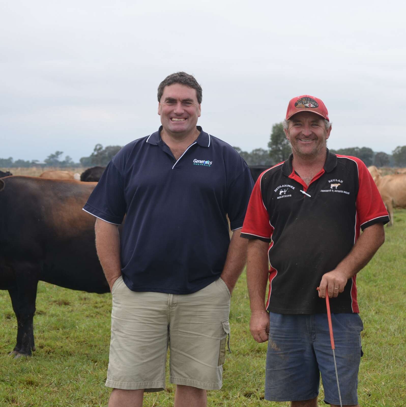 New bull honours a great mate | Dairy News Australia