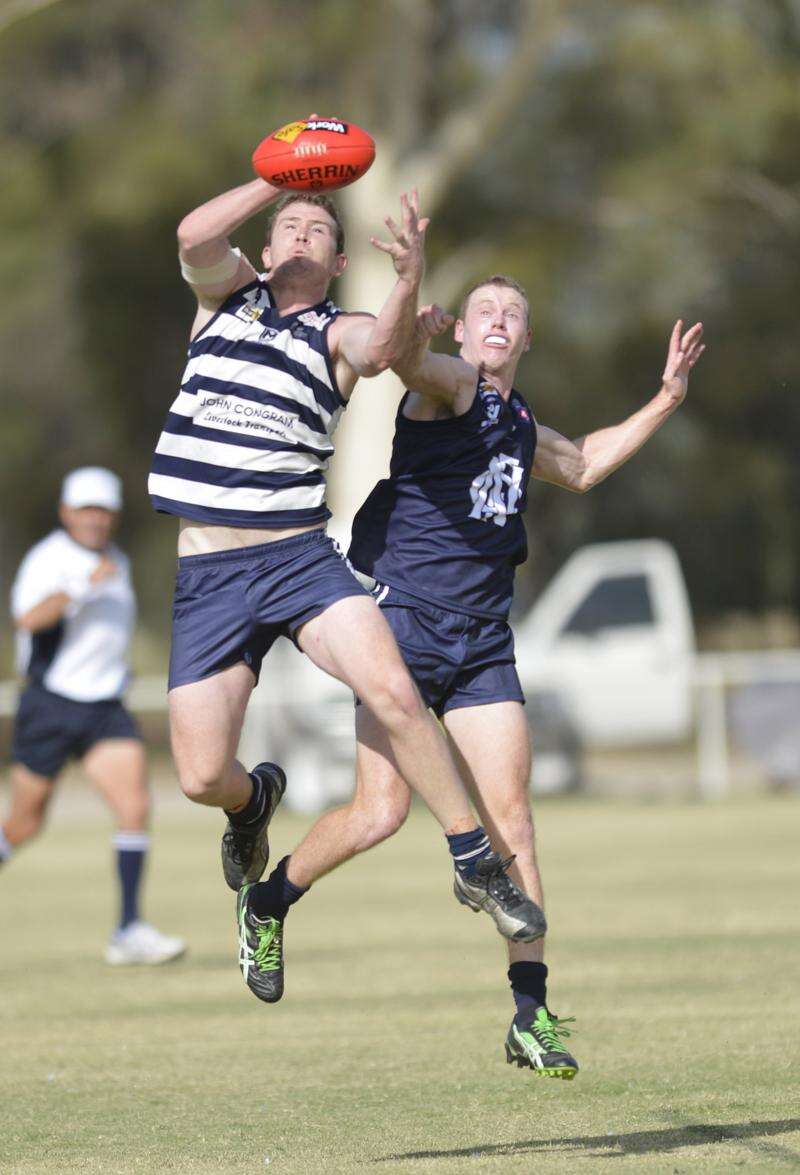 Finley Cats Coach Tom Doyle retires | Seymour Telegraph