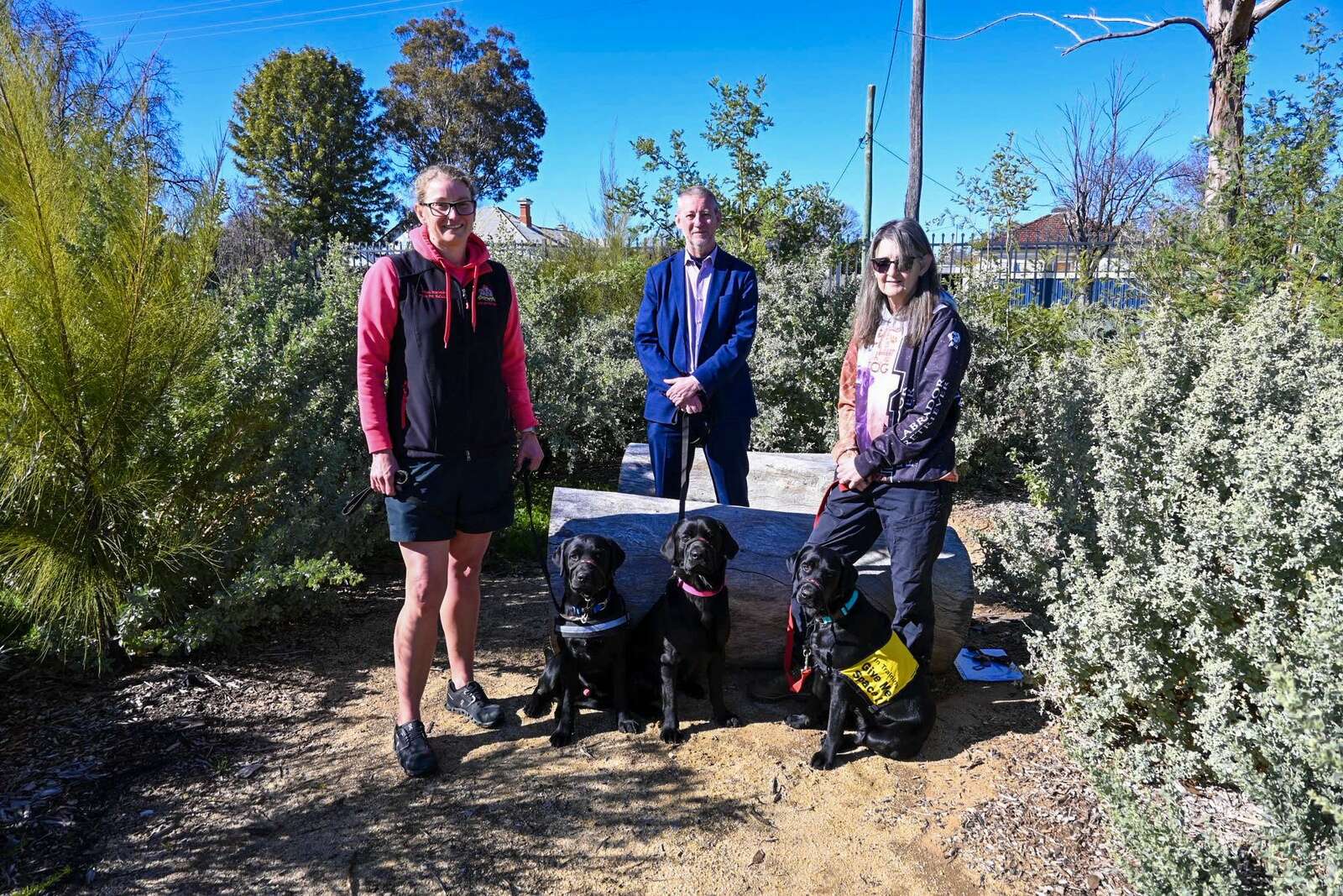 Pups in the classroom at Deni High | Deniliquin Pastoral Times