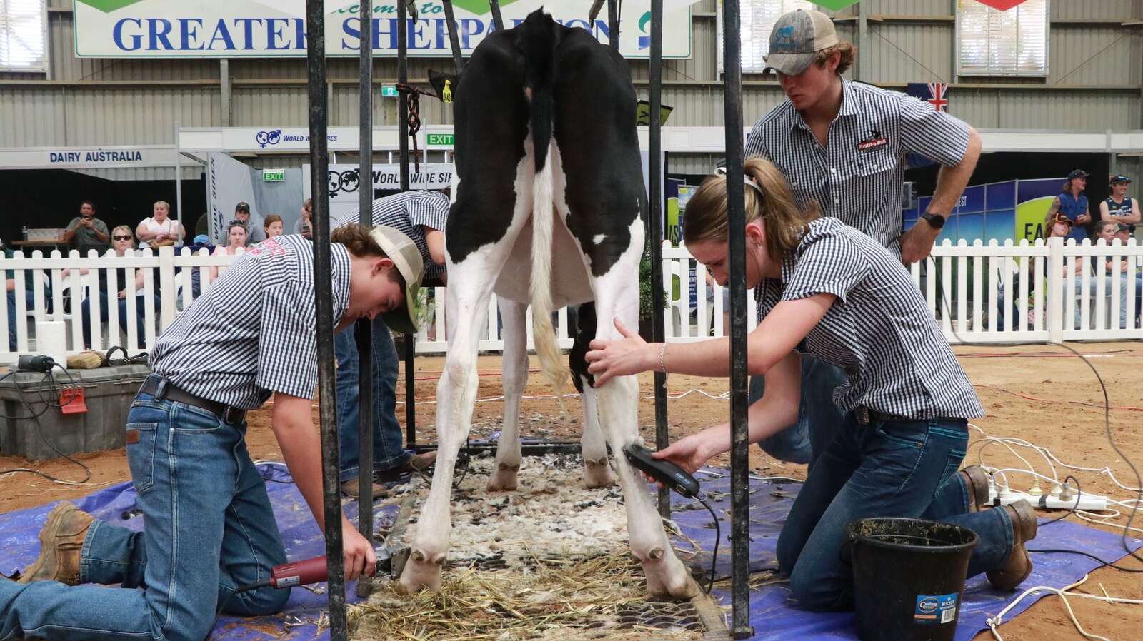 IDW returns for 2026 | Dairy News Australia