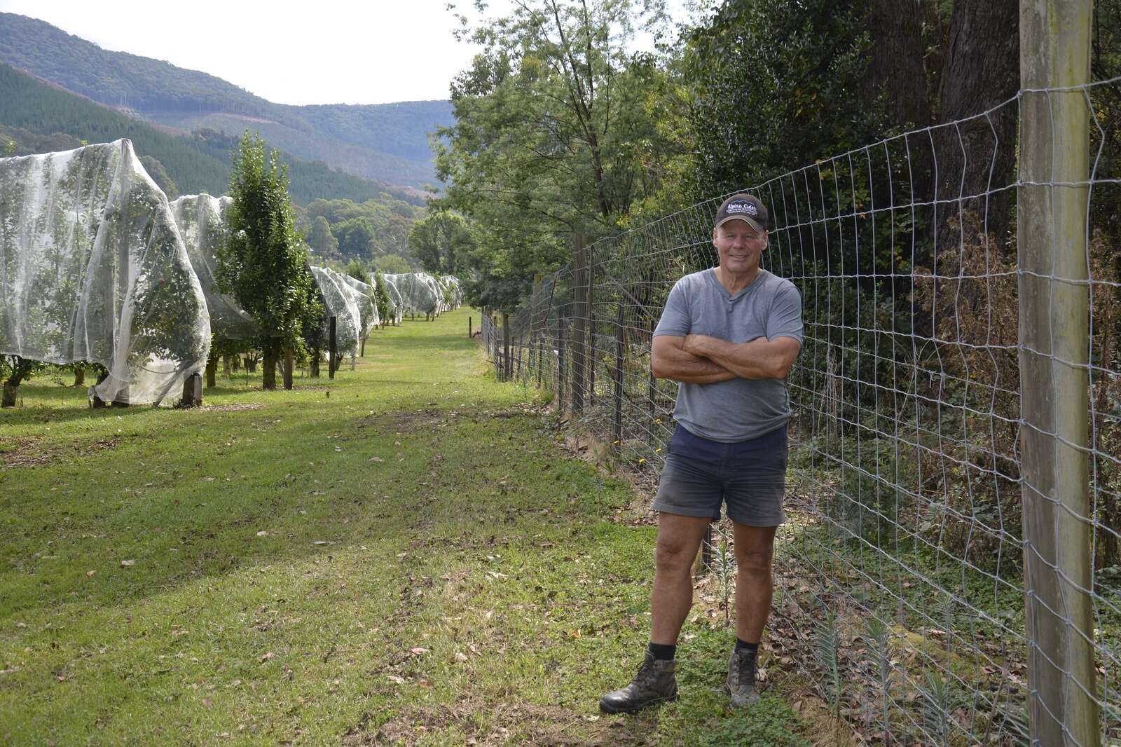 Deer numbers out of control, say farmers | Dairy News Australia